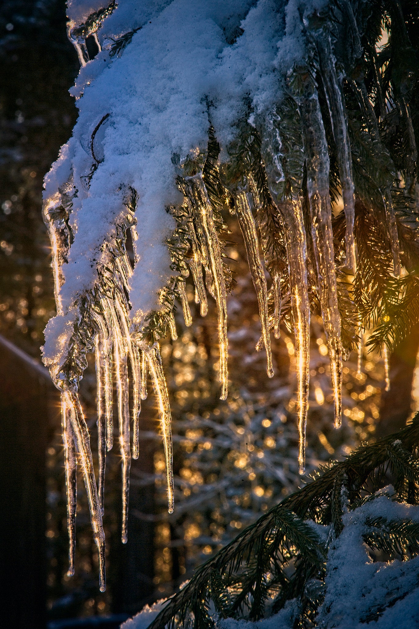 Fire & Ice by LARRY HAMPTON – Hampton Art Studios